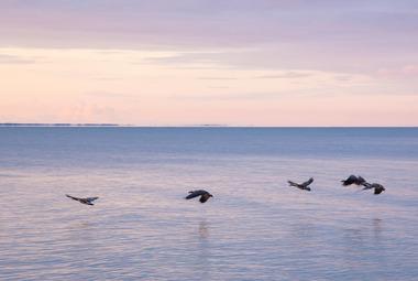 Lake Winnipeg Foundation